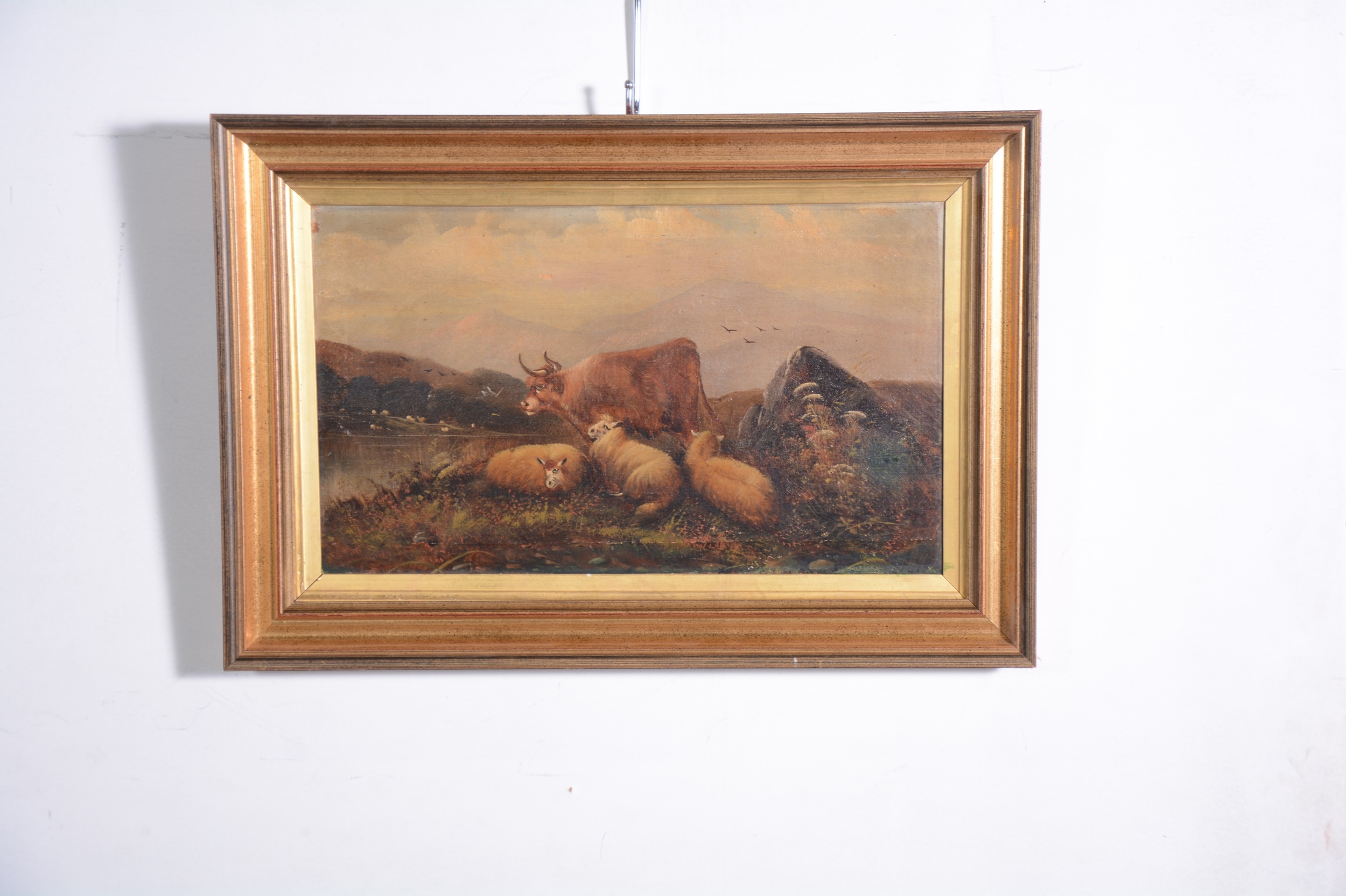 John W.‏ Morris | Highland cattle and sheep | MutualArt