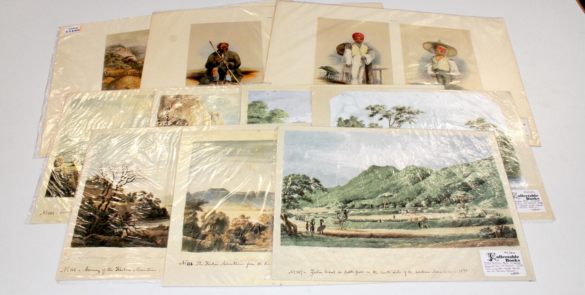 George French Angas | Collection of lithographic illustrations | MutualArt