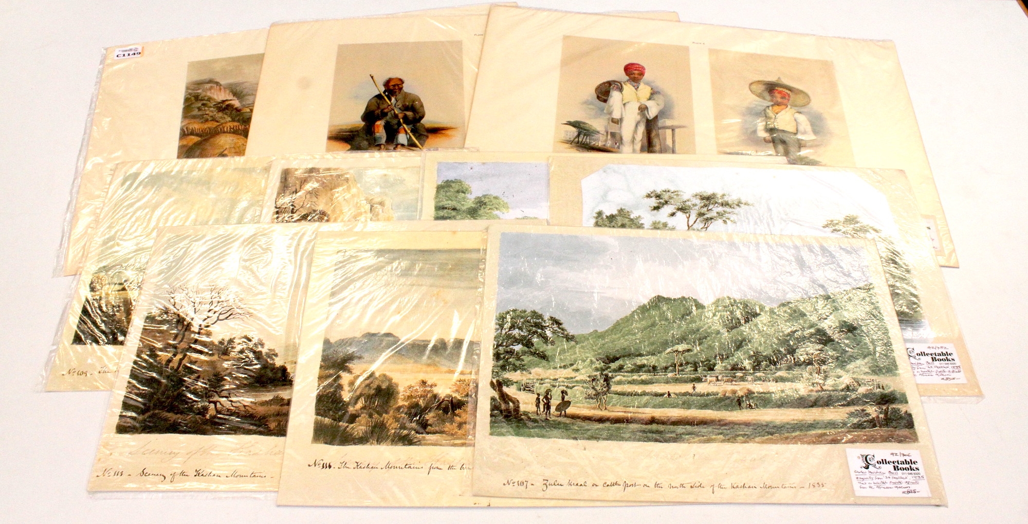 George French Angas | Collection of lithographic illustrations | MutualArt