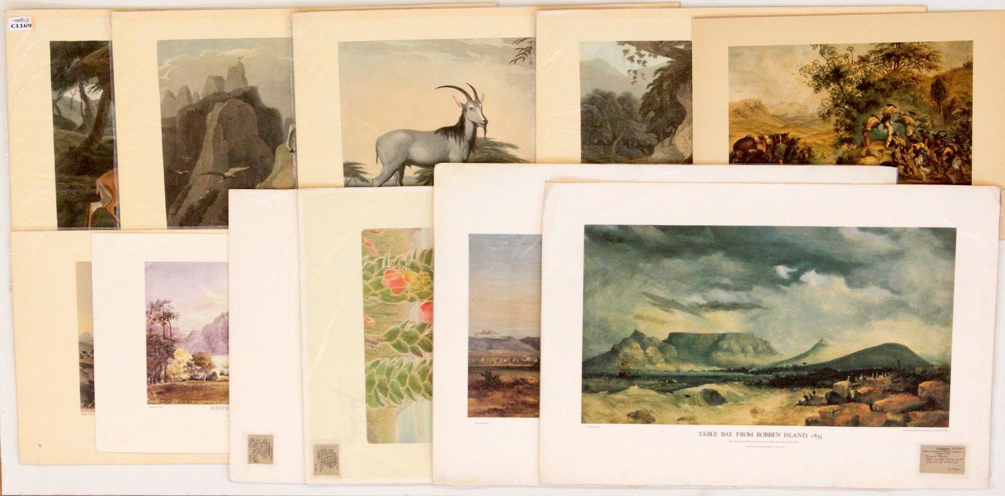 Samuel Daniell | Collection of lithographic animal illustrations ...
