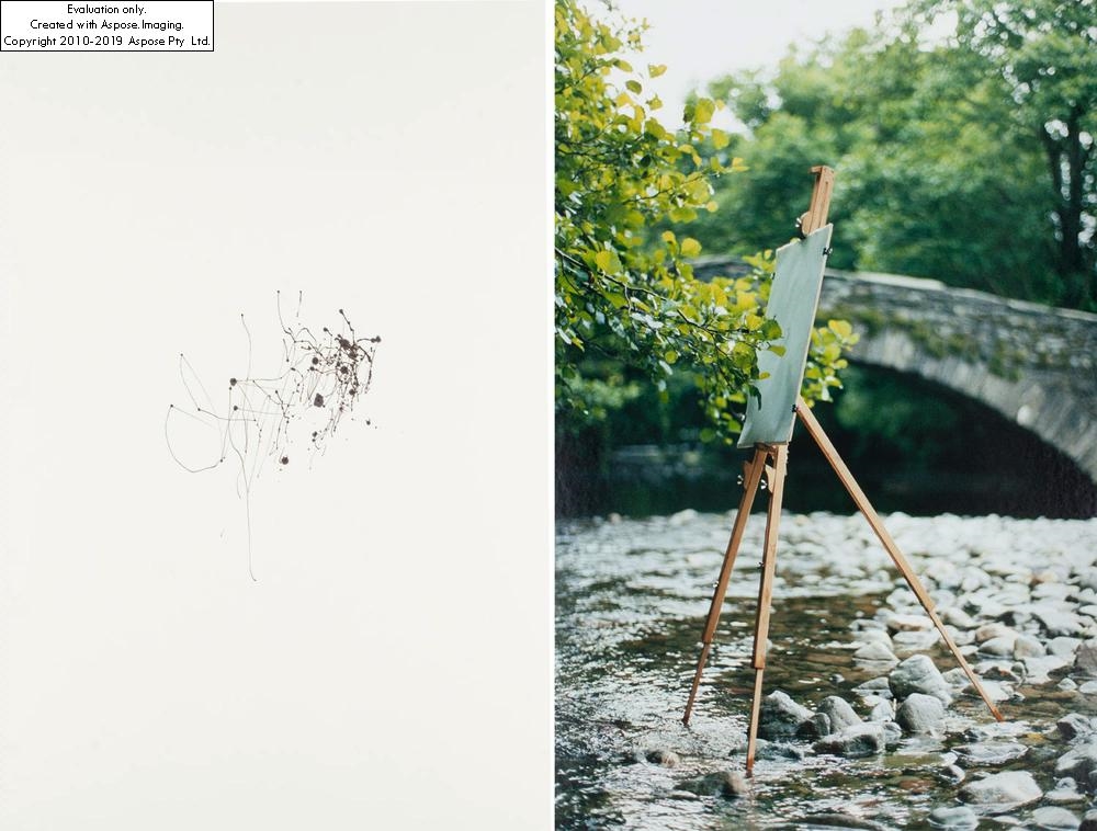 Tim Knowles | Tree Drawing - Alder on easel #2 | MutualArt