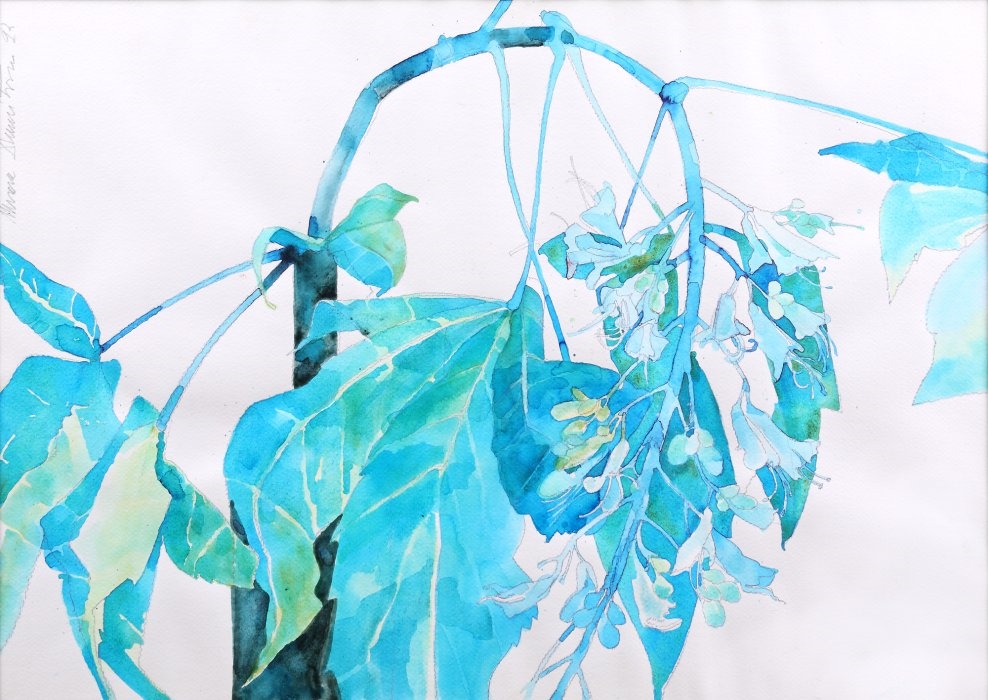 Mircia Dumitrescu | Flowering Shoot (1992) | MutualArt