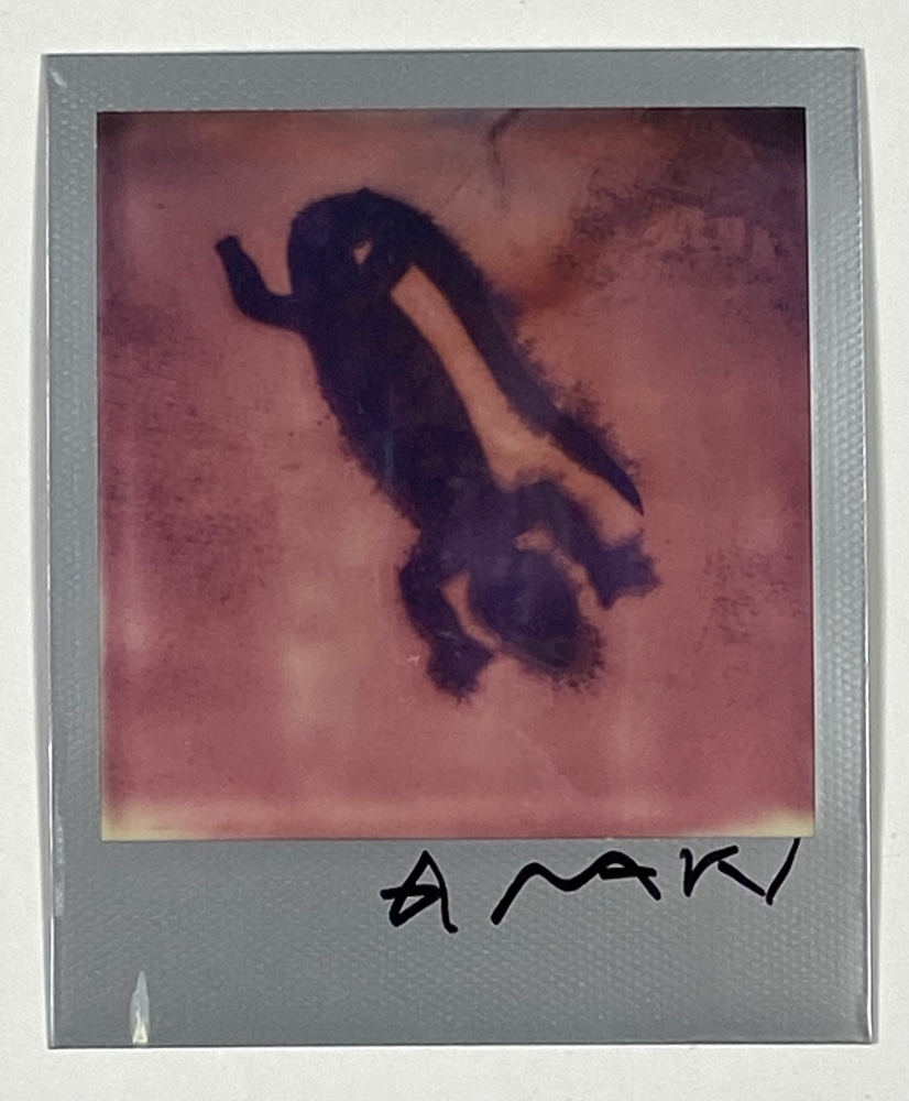Nobuyoshi Araki | Unique Polaroid (2016) | MutualArt