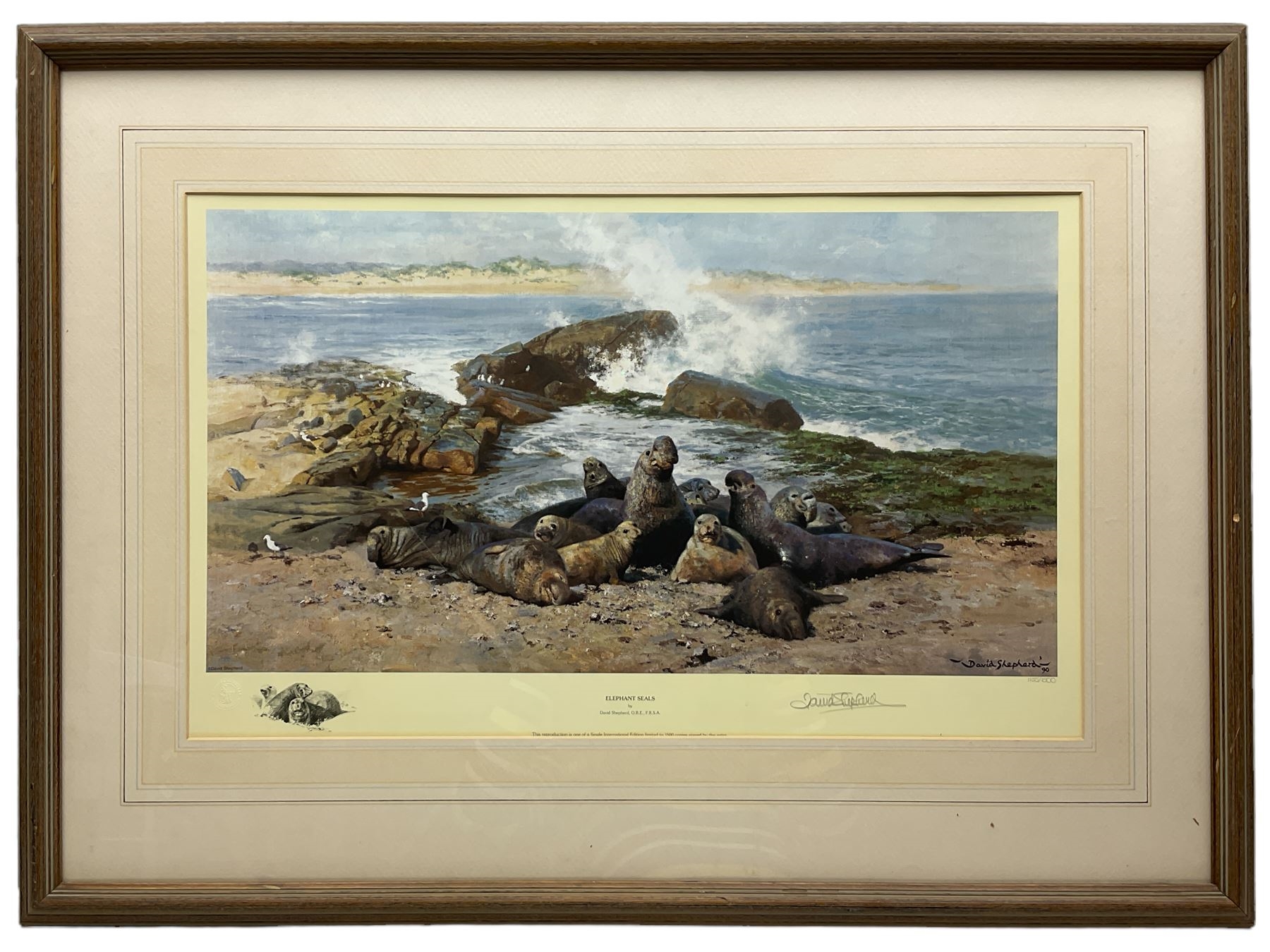 David Shepherd | Elephant Seals | MutualArt