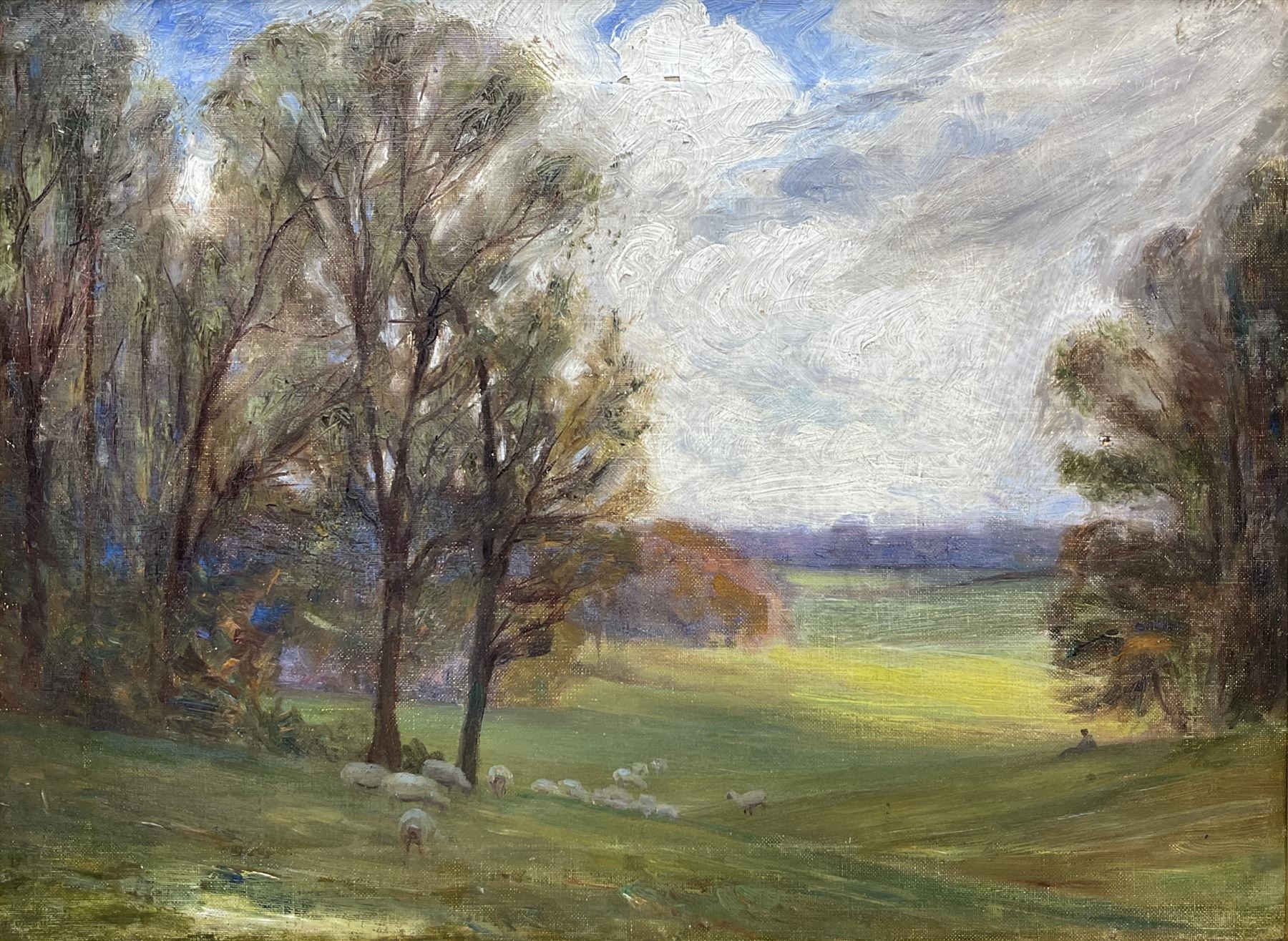 Owen Baxter Morgan | Sheep Grazing in an Open Rural Landscape | MutualArt