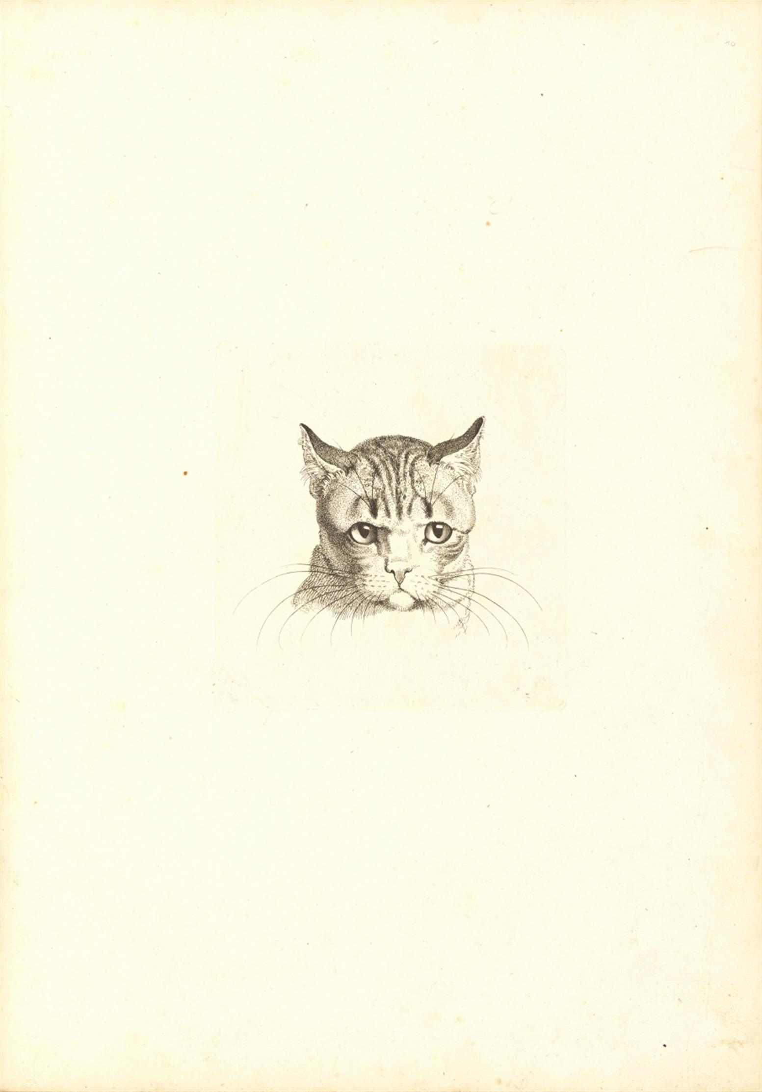 Johann Heinrich Wilhelm Tischbein | Tetes des differents animaux ...