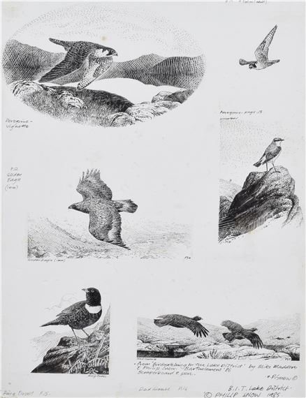Philip Snow | Bird studies (1985) | MutualArt