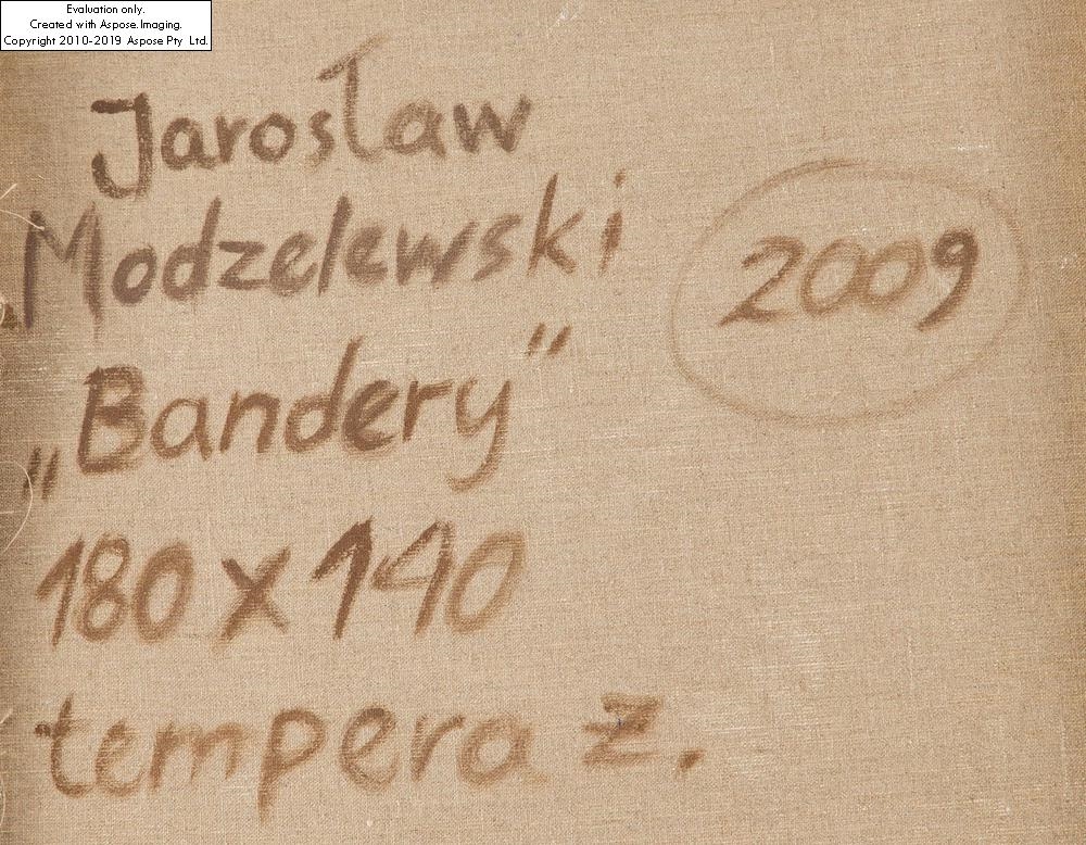 Jaroslaw Modzelewski | Flags (2009) | MutualArt