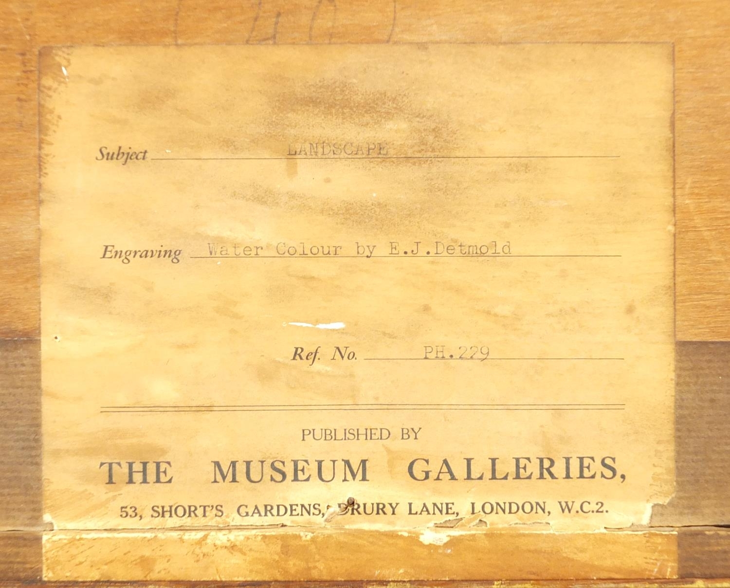 Edward Julius Detmold | Landscape | MutualArt