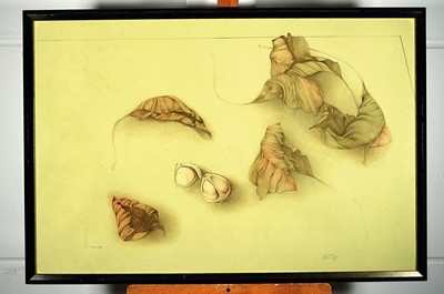 Bruno Bruni | Portrait | MutualArt