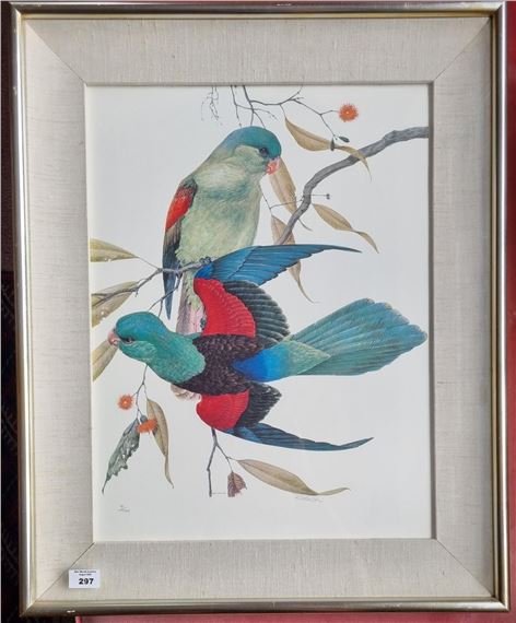 Robin Hill | Parakeets | MutualArt