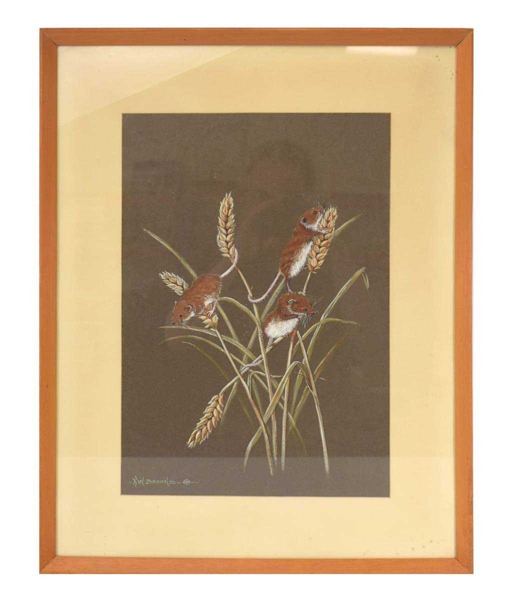 Kim Brooks | A study of three doormice (1969) | MutualArt