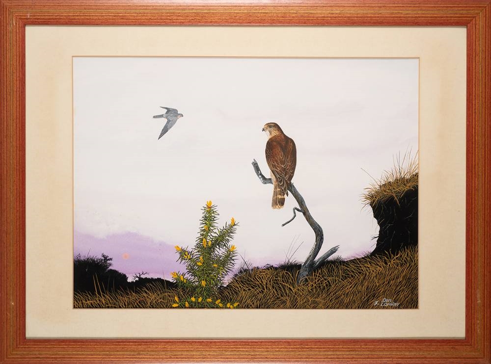 Don Conroy | BIRDS | MutualArt