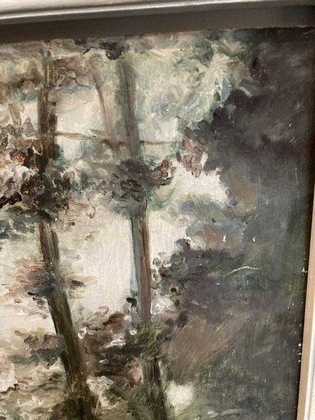 Henri Biva | Henri BIVA (1848-1929) | MutualArt