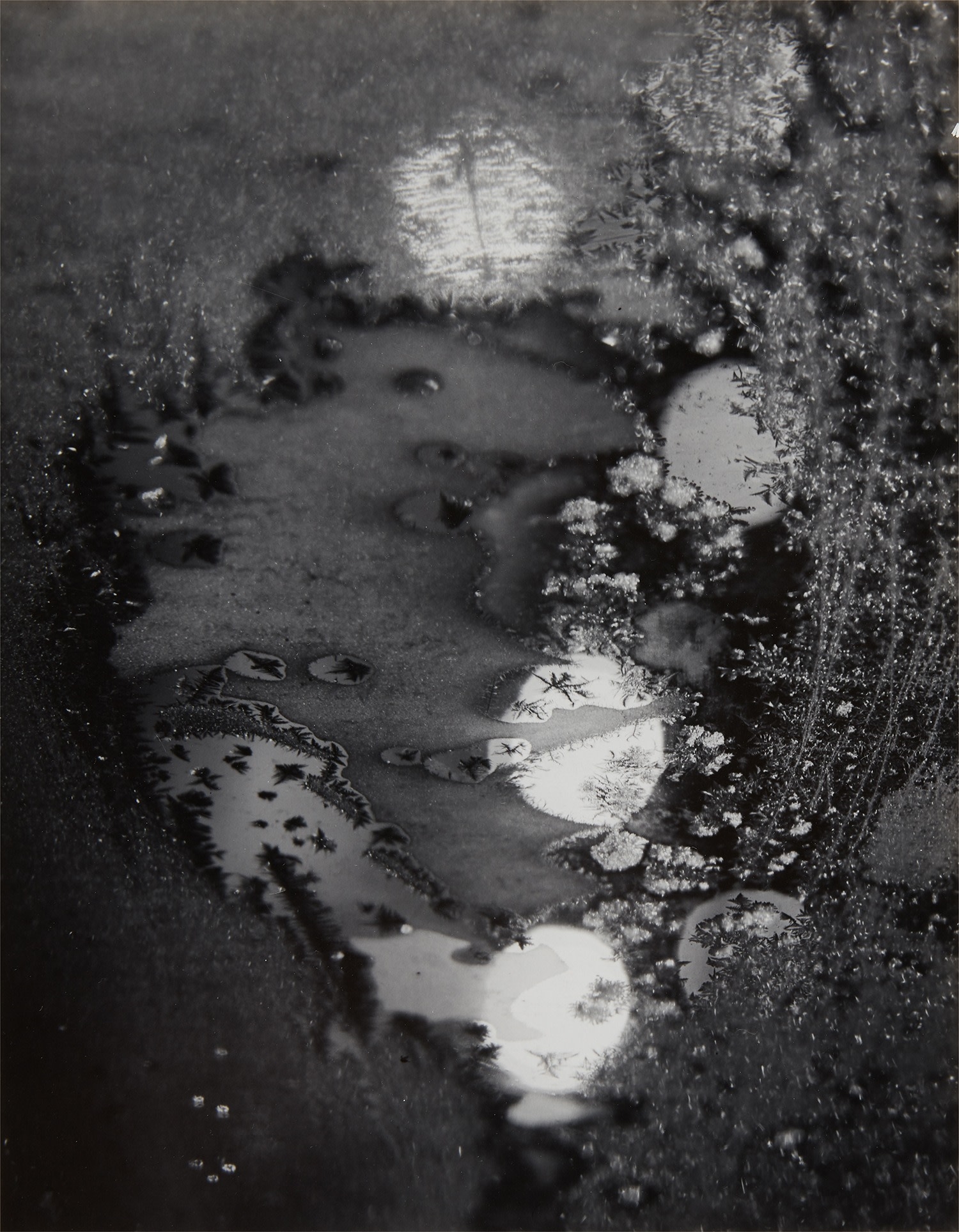 Minor White | Beginnings | MutualArt