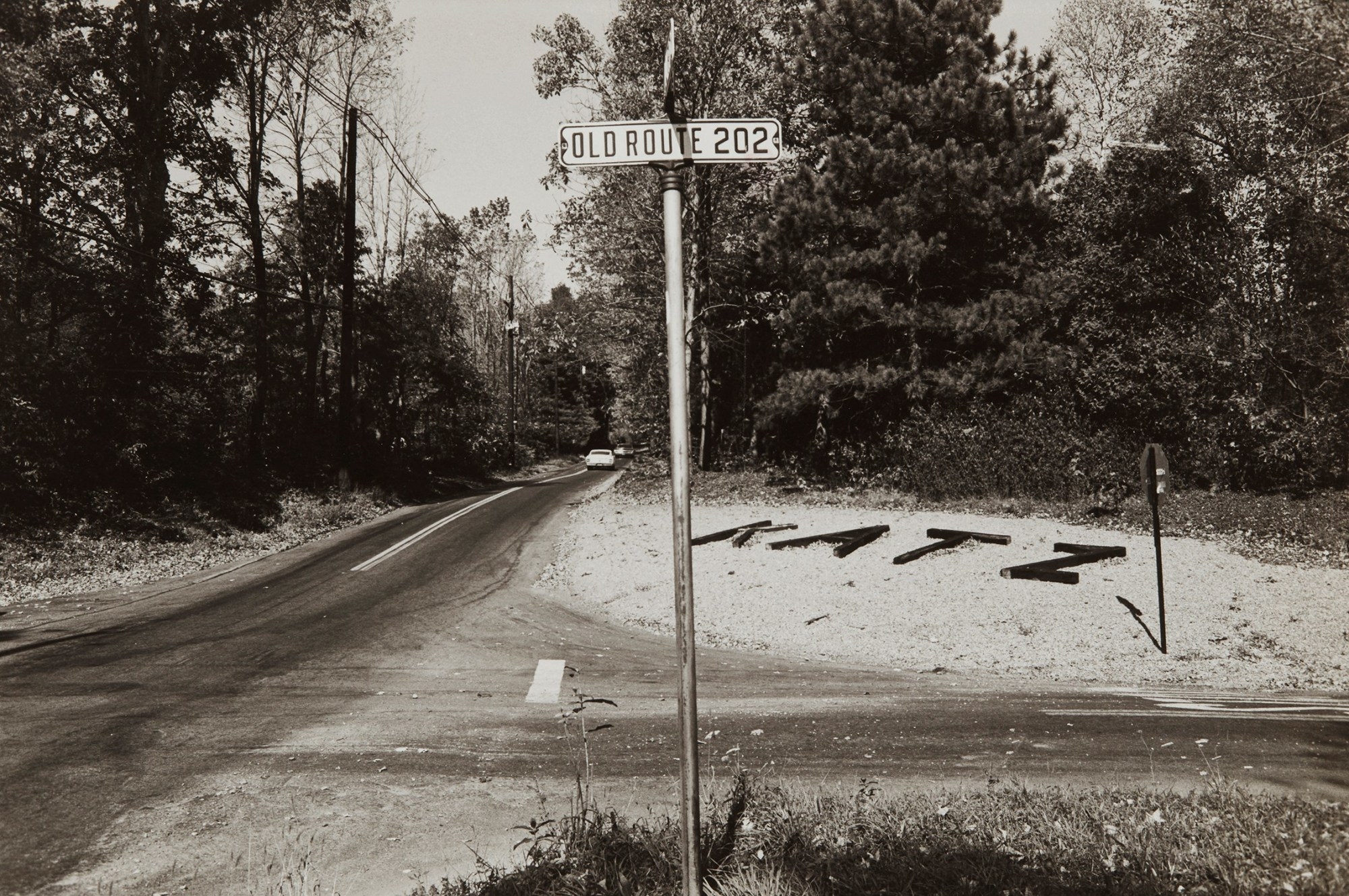 Lee Friedlander | Selected Images (1979) | MutualArt