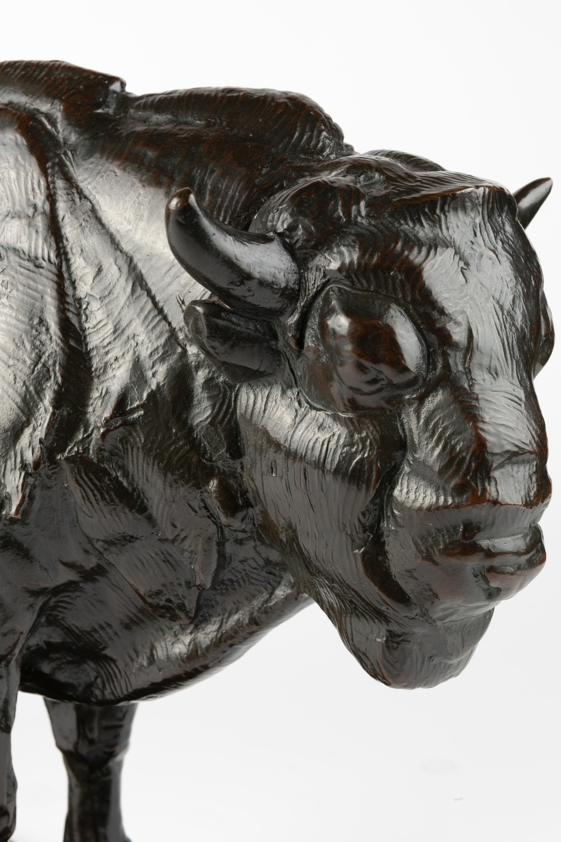 Albéric‏ Collin | 'Buffle d'Europe' (1910) | MutualArt