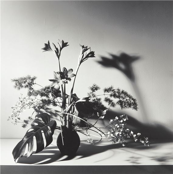 Robert Mapplethorpe | Still Life (1980) | MutualArt