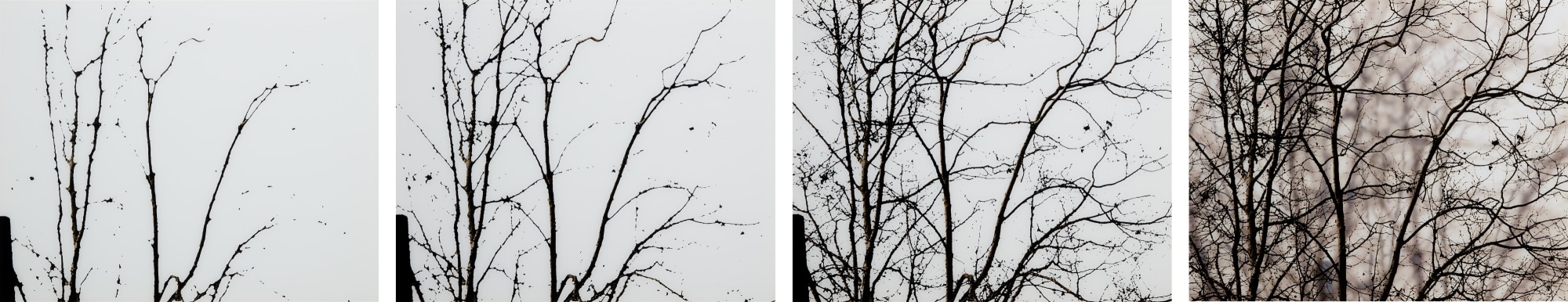 Uta Barth | Untitled (2000) | MutualArt