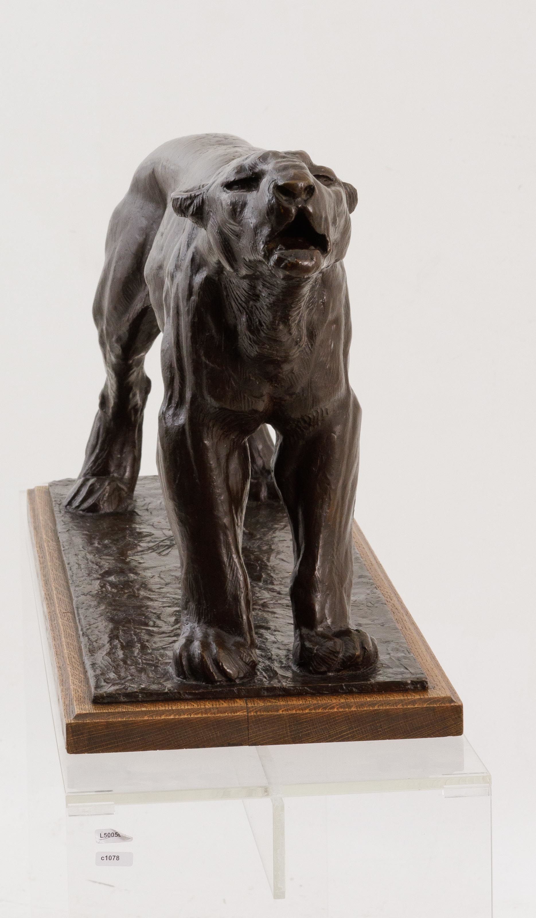 Albéric‏ Collin | 'Lionne Rugissante' (1923) | MutualArt