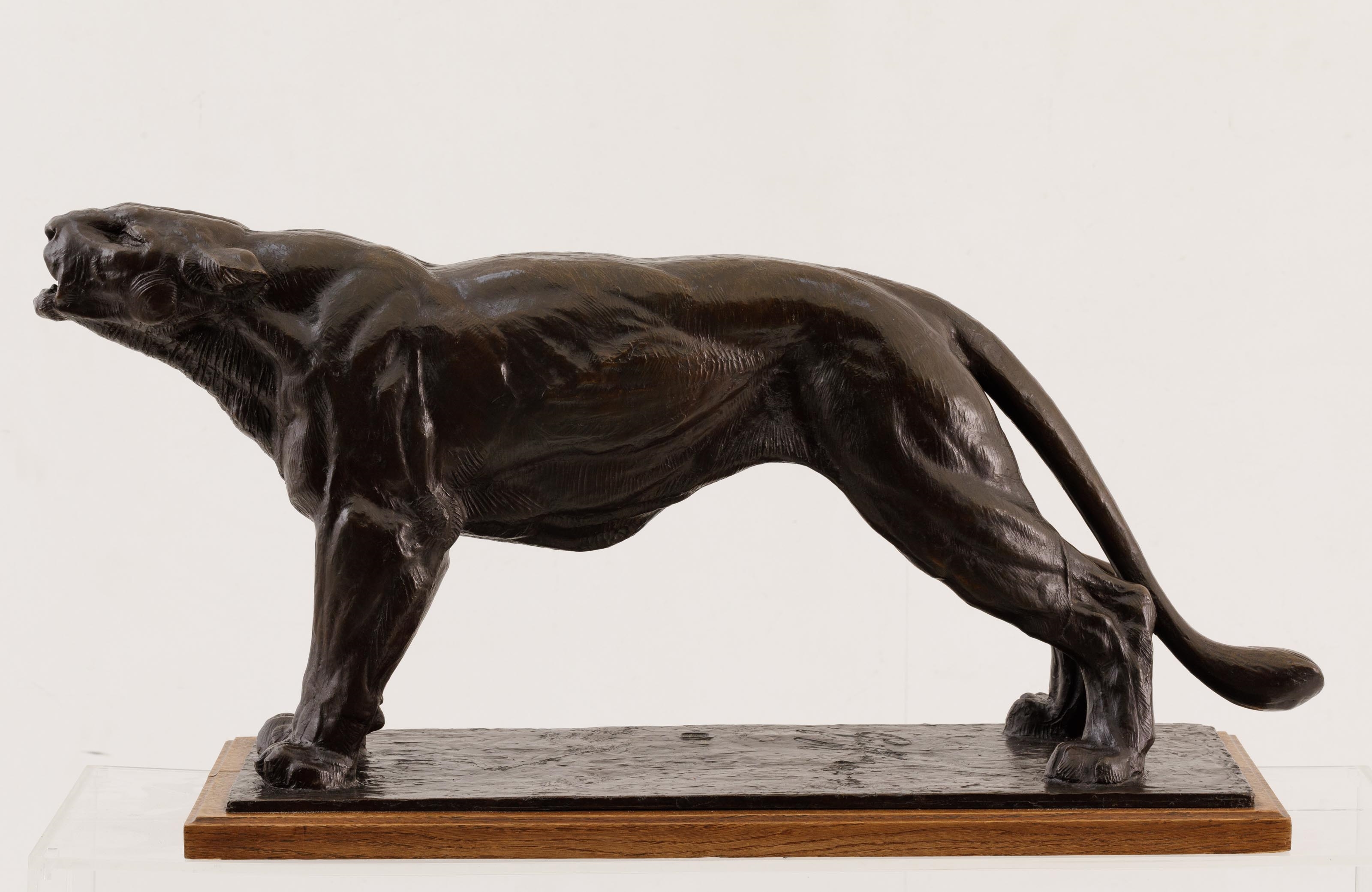 Albéric‏ Collin | 'Lionne Rugissante' (1923) | MutualArt