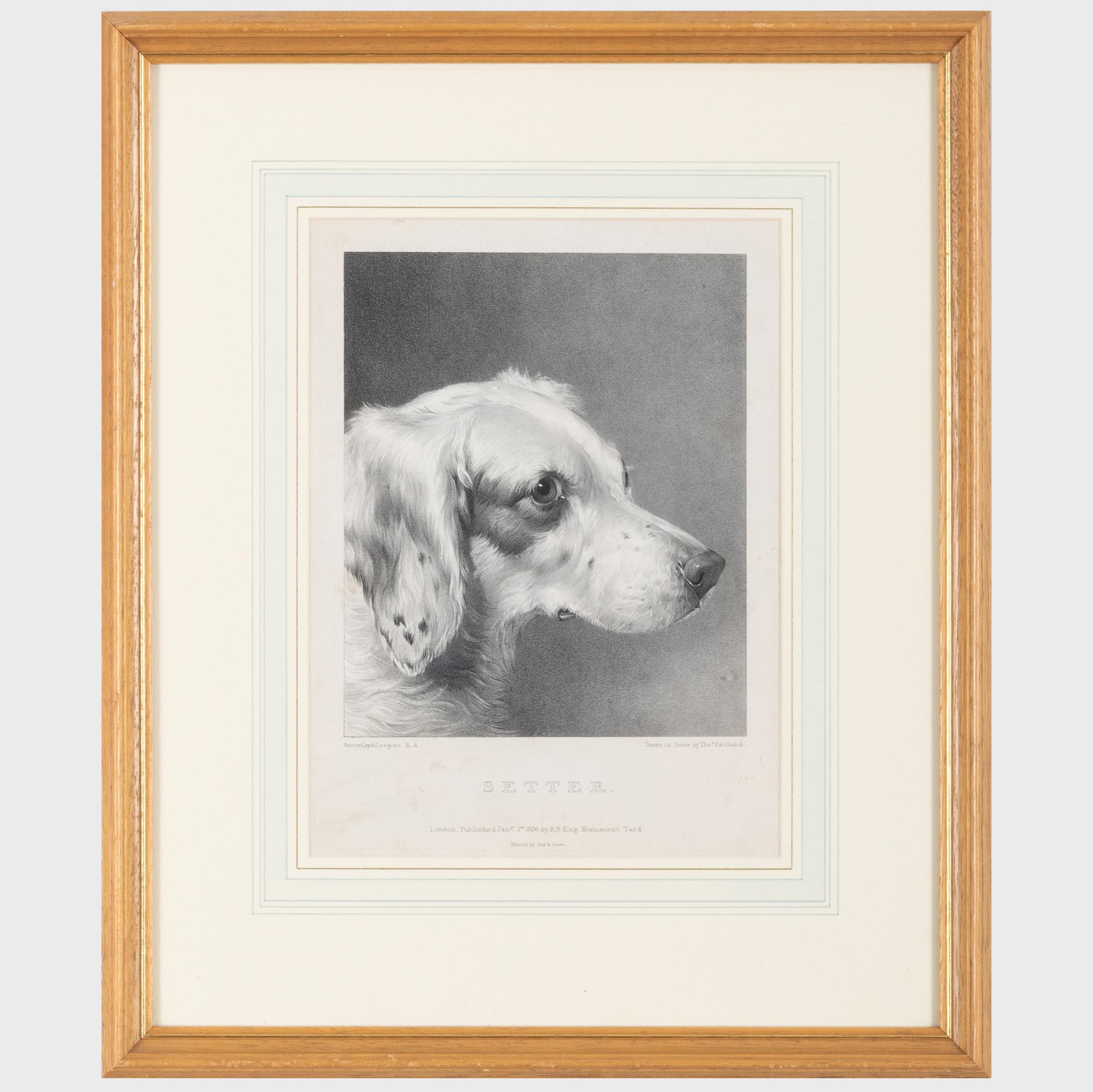 Abraham Cooper | Setter ; and Greyhound | MutualArt