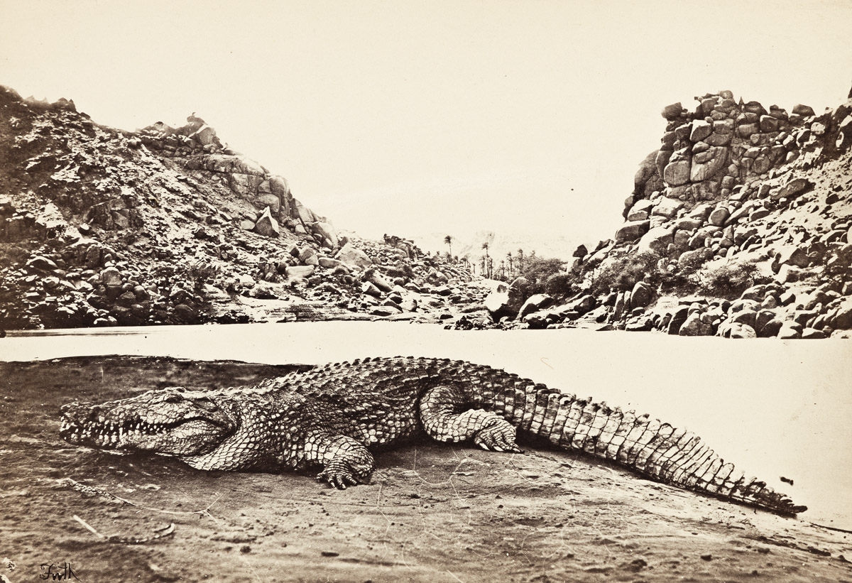 Francis Frith | Three striking photographs of Egypt. | MutualArt