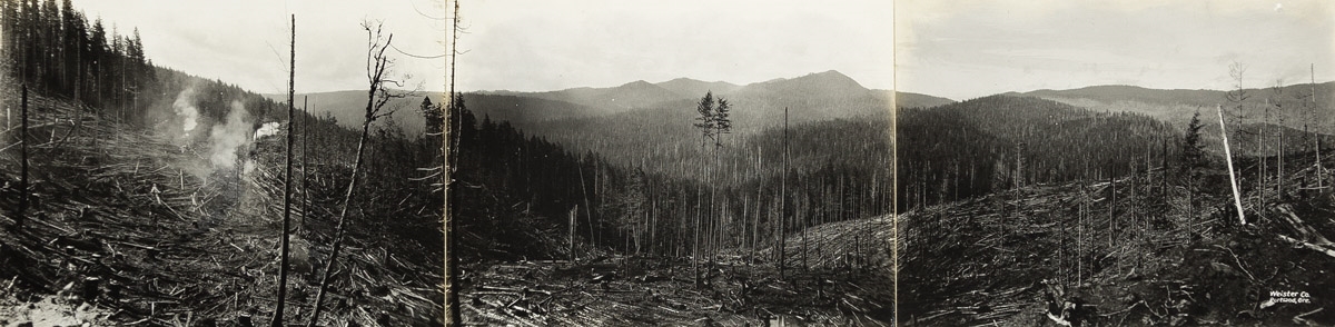 Johann Jakob Sperli | Pacific Coast Logging and Lumber Views, Big Creek ...