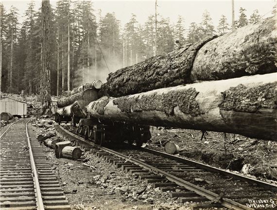 Johann Jakob Sperli | Pacific Coast Logging and Lumber Views, Big Creek ...