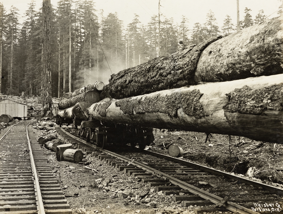 Johann Jakob Sperli | Pacific Coast Logging and Lumber Views, Big Creek ...