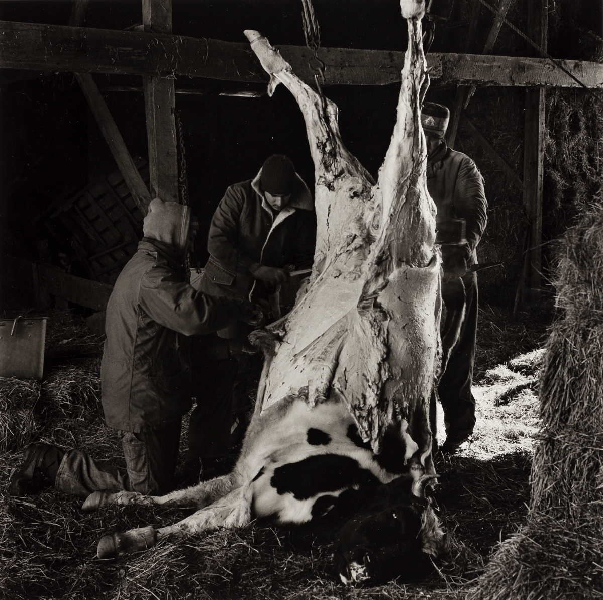 Peter Hujar | Himself. (1981) | MutualArt