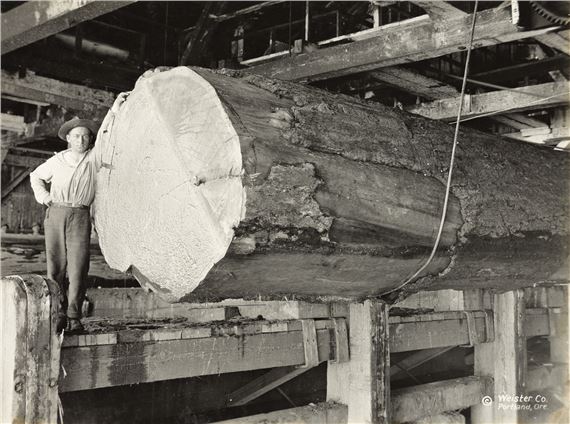 Johann Jakob Sperli | Pacific Coast Logging and Lumber Views, Big Creek ...