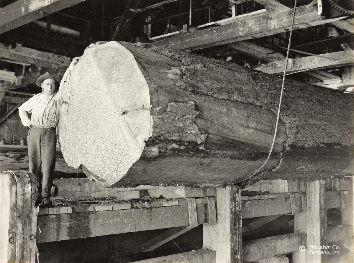 Johann Jakob Sperli | Pacific Coast Logging and Lumber Views, Big Creek ...