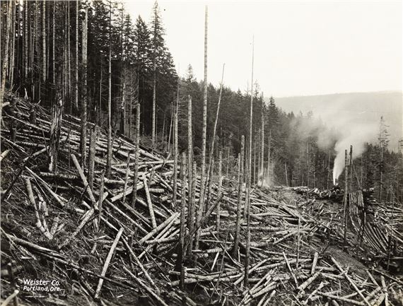 Johann Jakob Sperli | Pacific Coast Logging and Lumber Views, Big Creek ...