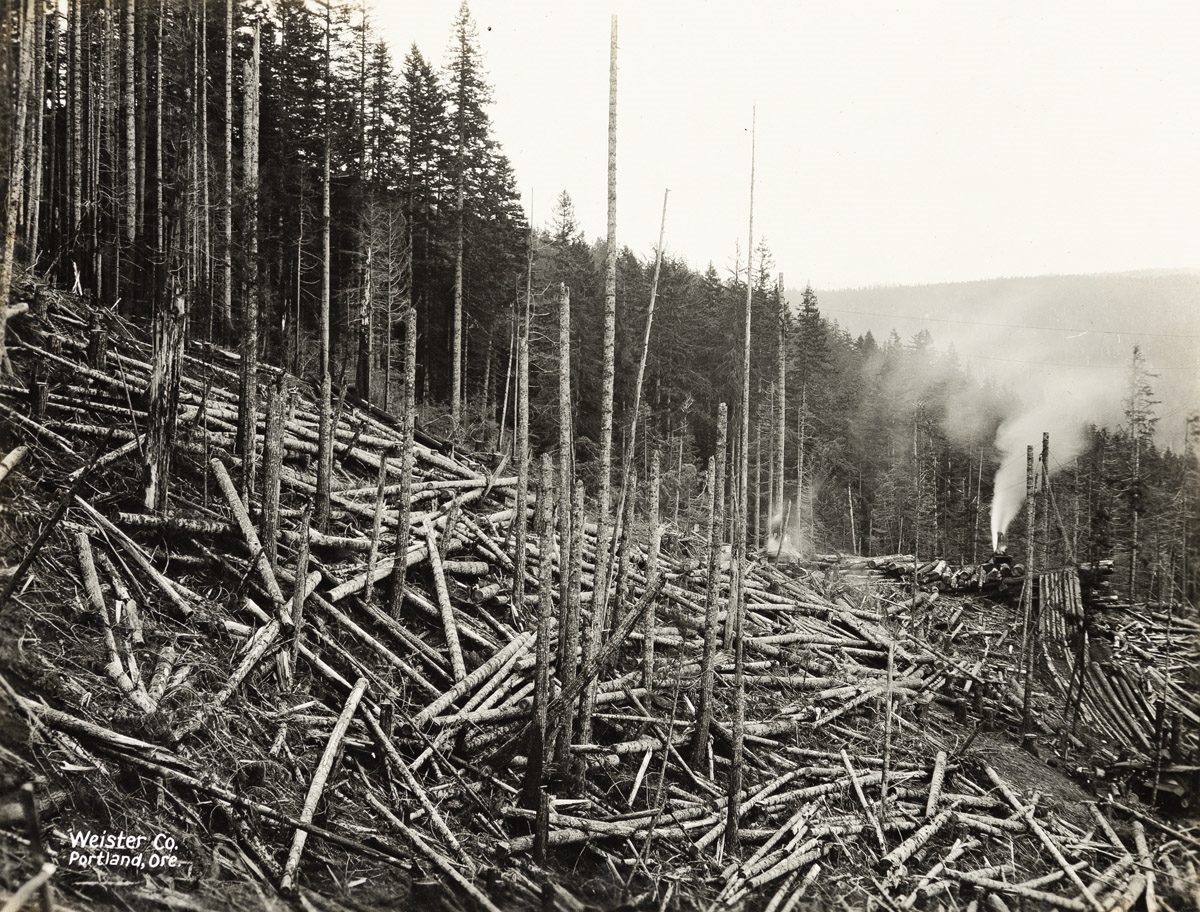 Johann Jakob Sperli | Pacific Coast Logging and Lumber Views, Big Creek ...