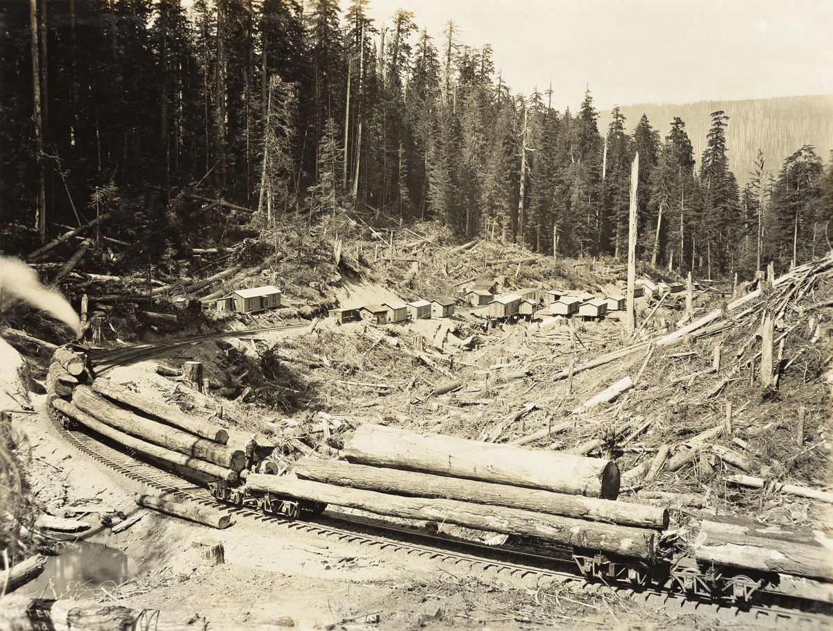 Johann Jakob Sperli | Pacific Coast Logging and Lumber Views, Big Creek ...