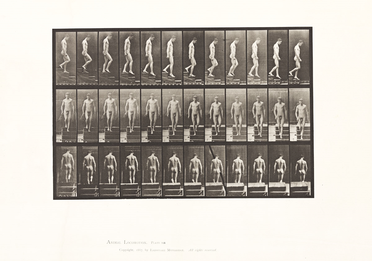 Eadweard Muybridge | A selection of 5 plates from the pioneering motion ...