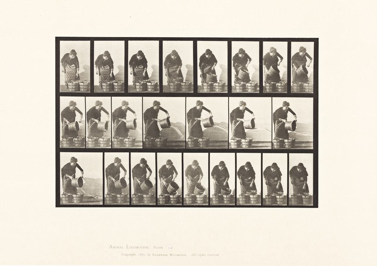 Eadweard Muybridge | A selection of 5 plates from the pioneering motion ...
