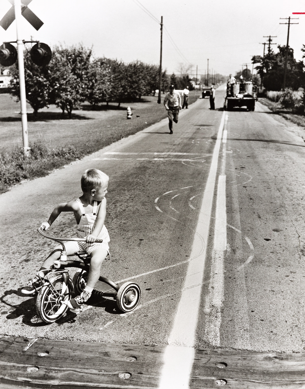 Johann Jakob Sperli | Pacific Coast Logging and Lumber Views, Big Creek ...