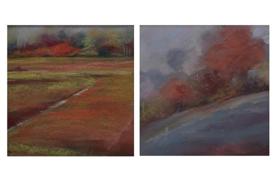 Pat Ross Marx | Biography