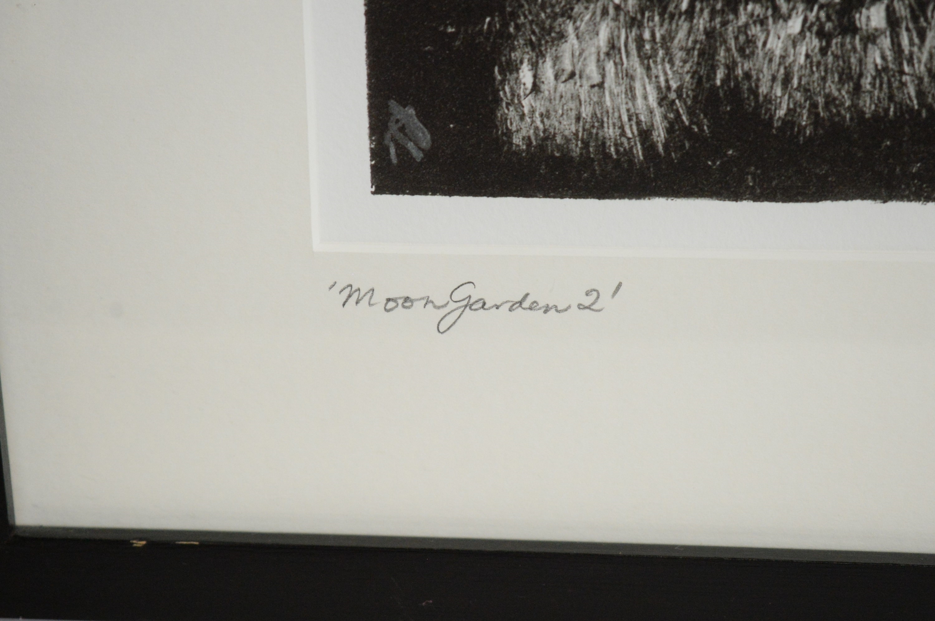 Patricia Latham | Moon Garden 2 | MutualArt
