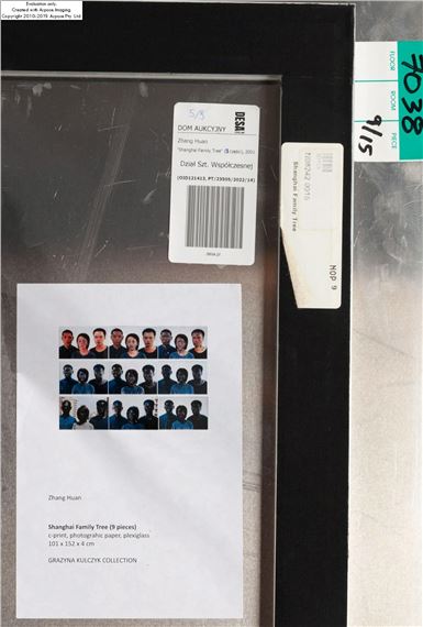 Zhang Huan | Shanghai Family Tree (2001) | MutualArt