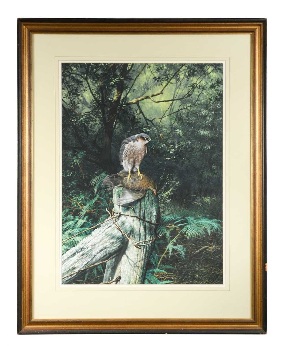 Alan M. Hunt | Sparrowhawk with its prey (1983) | MutualArt