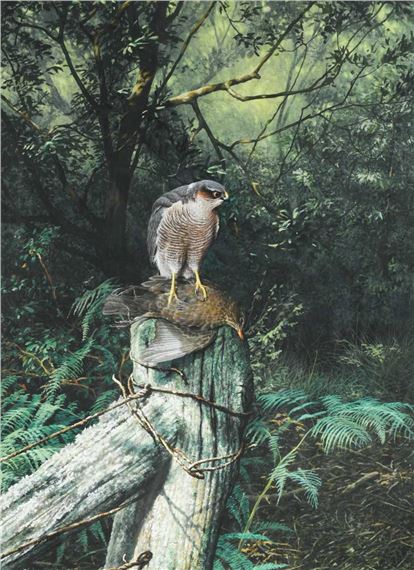 Alan M. Hunt | Sparrowhawk with its prey (1983) | MutualArt