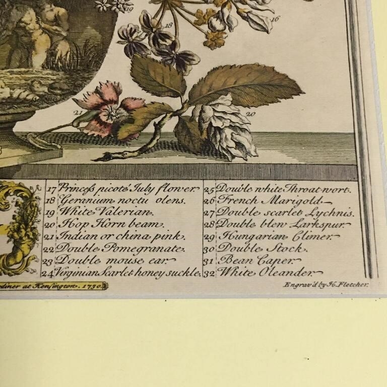 H. Fletcher | Floral Calendar, July | MutualArt