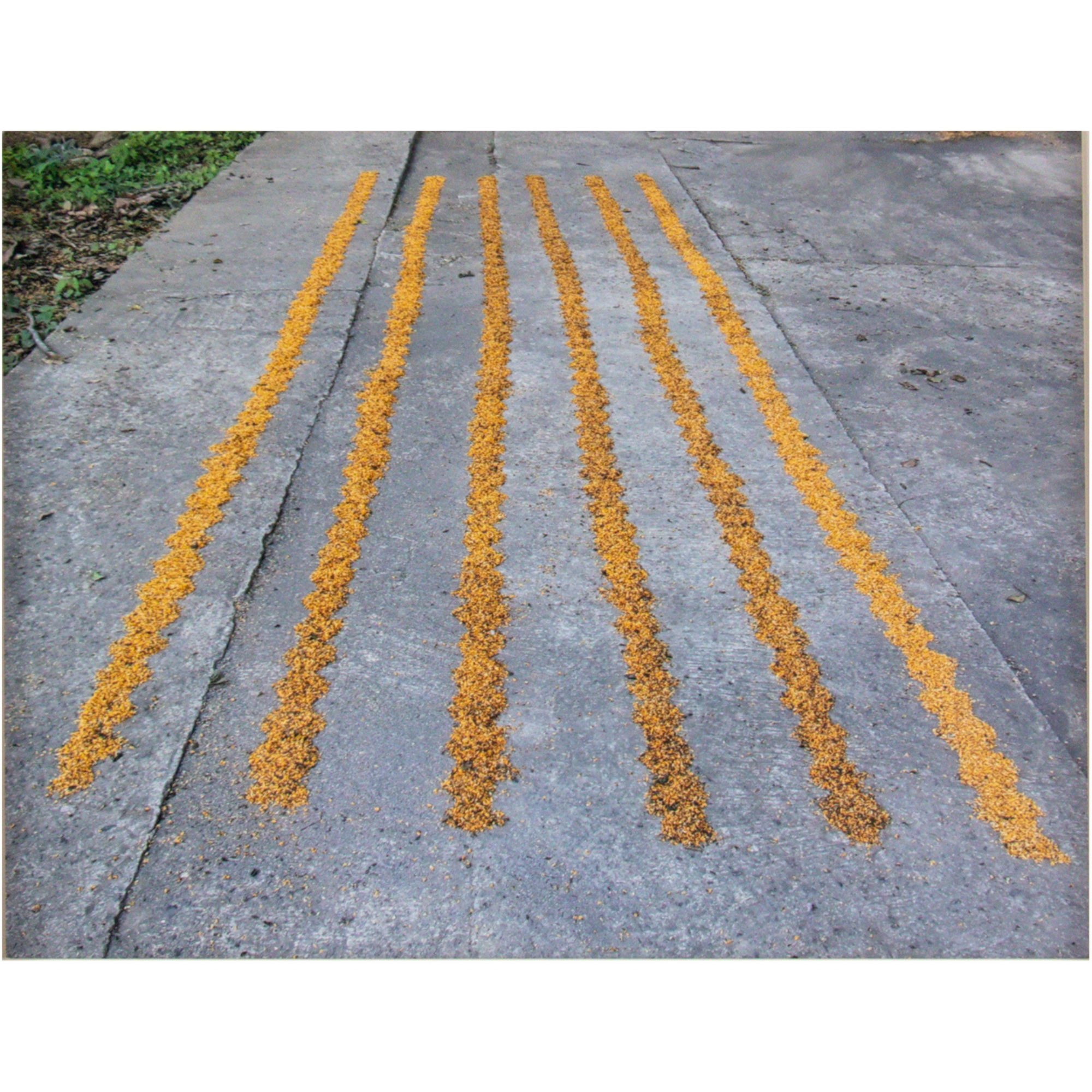 Yasmin Sison | Lockdown Project Set D | MutualArt