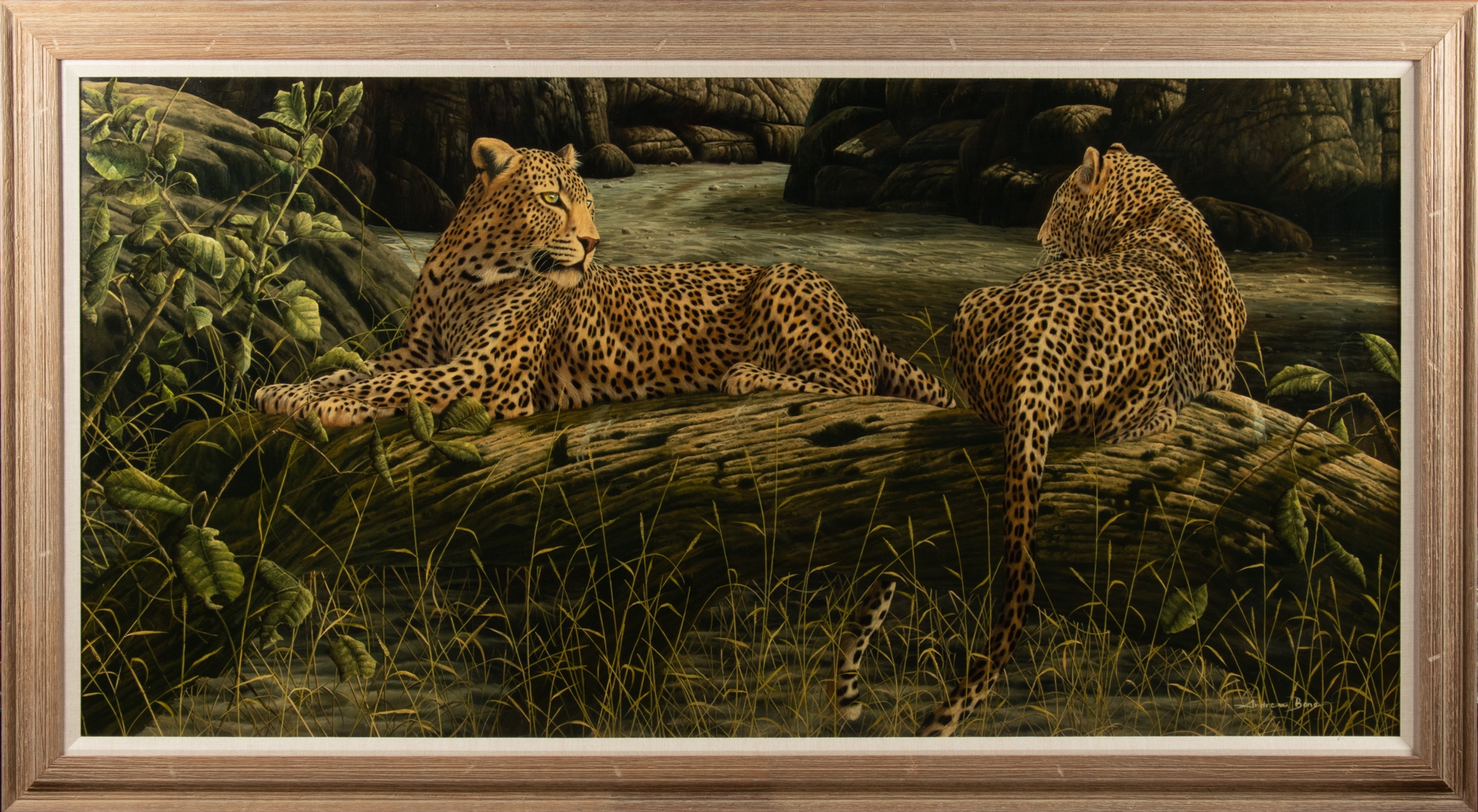 Andrew Bone | Canyon Romance - Cheetahs (2000) | MutualArt