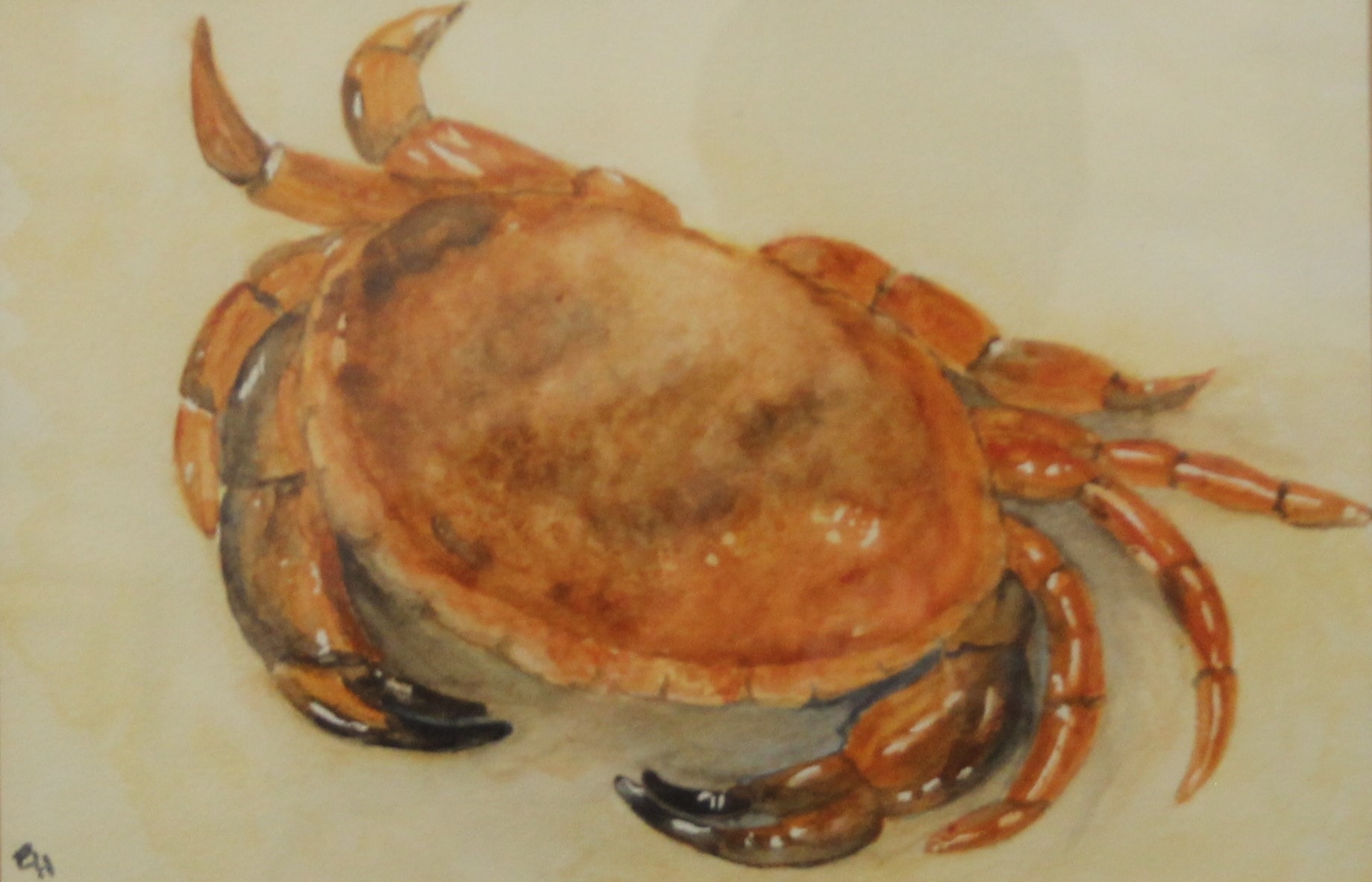 Bridget Hedges | Cromer Crab | MutualArt