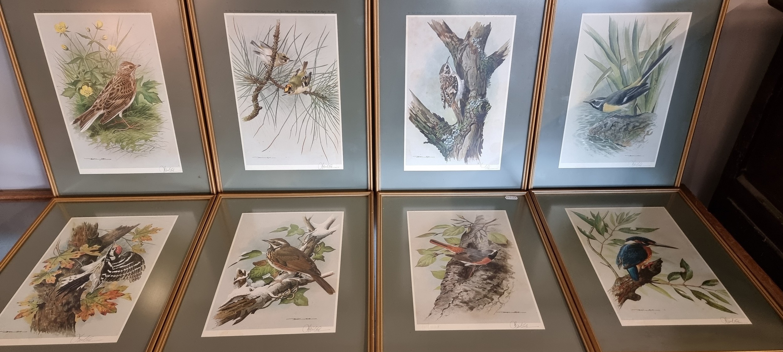 Basil Ede | Fine Art Guild set of eight limited edition prints of birds ...