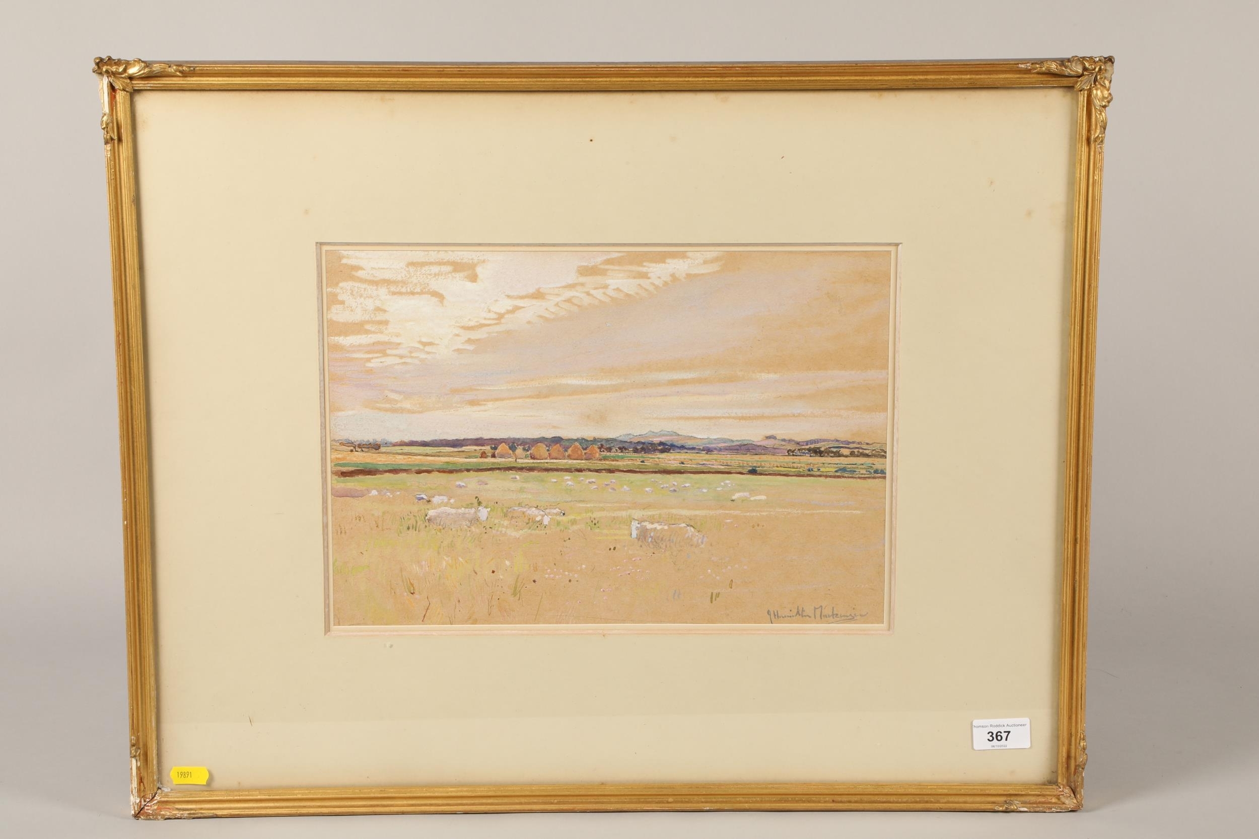 James Hamilton Mackenzie | Sheep in field | MutualArt